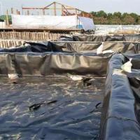 China HDPE Geomembrane 2mm Fish Farming Pond Liner Anti-Seepage for Aquaculture for sale