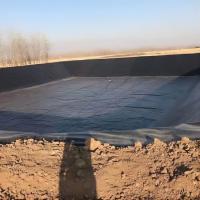 China HDPE Smooth Geomembrane 1mm 2mm Thickness Fish Pond Liner Puncture Resistant for sale