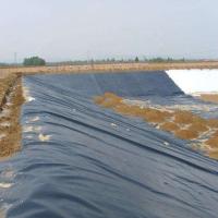 China HDPE Geomembrane 1mm 2mm for Water Dam Irrigation Pond Liner Water Tank for sale