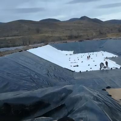 China HDPE Smooth Geomembrane Waterproof Anti-Leakage Liner 1.5mm Thickness 6m Width for sale