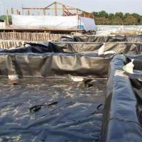 China Double Texture/Double Smooth HDPE Geomembrane Liner 0.4mm for Fish Farm Glossy Surface for sale