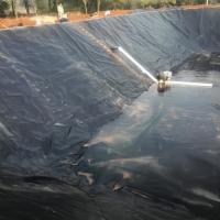 China High Density Fish and Shrimp Pond Liner HDPE Geomembrane with Waterproof Function for sale
