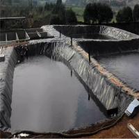 China HDPE Smooth Geomembrane 0.75mm-3mm Puncture Resistant Fish Pond Liner Black for sale