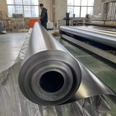 China Double Smooth Surface Pond Liner Geomembrane for Fish Prawn Fram and Dam Protection for sale