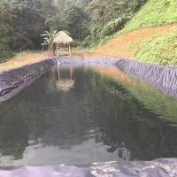 China HDPE Geomembrane Sheet 0.2mm 0.75mm Double Smooth Surface GM13 for Pond Lining for sale