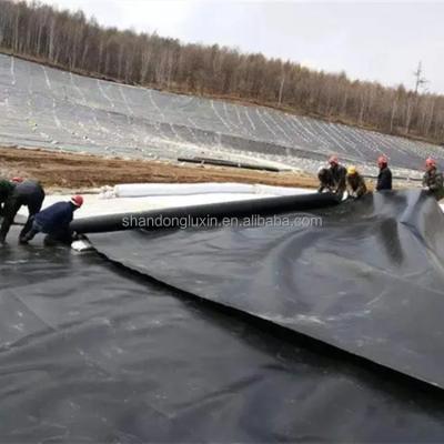 China Double Smooth Surface 0.75mm HDPE Geomembrane for Landfill Double Texture Surface for sale