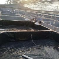 China ISO9001 HDPE Geomembrane 0.75mm-3mm Thickness Anti-Seepage Waterproof Liner for sale