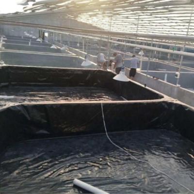 China ISO9001 HDPE Geomembrane 0.75mm-3mm Thickness Anti-Seepage Waterproof Liner for sale