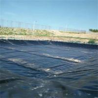 China HDPE Smooth Geomembrane 0.2mm-2.8mm Black Anti-Aging Impermeable Liner for Landfill for sale