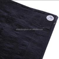 China Customized Color Durable PE Tarpaulin Polyethylene Tent for Rainproof and Waterproof for sale