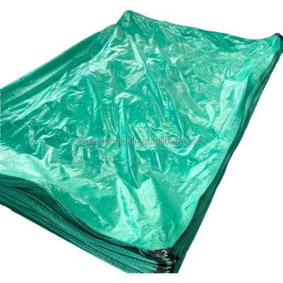 China High Surface Hardness Green PE Tarpaulin Waterproof Rainproof Dustproof 3x4m 4x5m 4x6m for sale