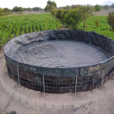 China Glossy Geomembrane High Density Polyethylene UV Resistant HDPE Fish Pond Liner Solution for sale