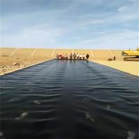China HDPE Geomembrane 0.5mm Waterproof Liner for Shrimp Farming Pond for sale