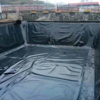 China HDPE Geomembrane 0.5mm Waterproof Liner for Shrimp Farming Pond for sale