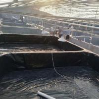 China Smooth HDPE Geomembrane Fish Pond Liner 0.5mm to 2.0mm Thickness 50-200m Length for sale