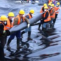 China Customizable HDPE Geomembrane Liner 0.75mm to 3.00mm for Pond Shrimp Farm Mining Dam for sale