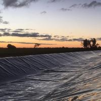 China Double Smooth HDPE Geomembrane Waterproof 0.5mm 1mm Fish Pond Dam Liner for sale