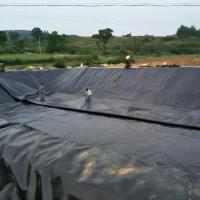 China 500 Micron HDPE Pond Dam Liner for Kenya Farm Earth Dam Lining Anti Seepage for sale