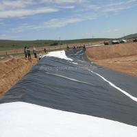 China Black HDPE Pond Liner 0.75mm-3mm Geomembrane Sheet for Fish Shrimp Pool Dam for sale
