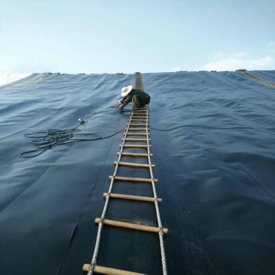 China ASTM GRI-GM13 1mm HDPE Geomembrane for Fish Pond and Landfill Applications for sale