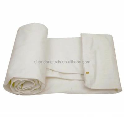 China Woven PE Tarpaulin UV Treated 100m Waterproof Poly Tarp for Outdoor Sun Resistance for sale