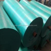 China Heavy Duty Waterproof PE Tarpaulin Sheet 60gsm 250gsm UV Resistant Outdoor Tarp for sale