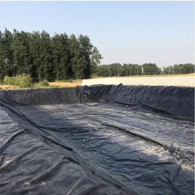 China 1.0mm HDPE Geomembrane for Artificial Lake Double Smooth Surface Graphic Design Solution for sale