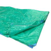 China Green PE Tarpaulin Waterproof Heavy Duty 100-200gsm Direct Sunlight Resistant Outdoor Cover for sale