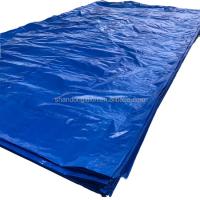 China UV Resistant Stripe PE Tarpaulin 6x8m Waterproof Heavy Duty Cover for Outdoor Protection for sale