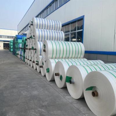 China Customizable Waterproof PE Tarpaulin 2-12m Width 60-250gsm for Outdoor Furniture Cover for sale