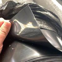 China Graphic Design HDPE Dam Liner for Aquaculture Fish Farming Project Solution Capability for sale