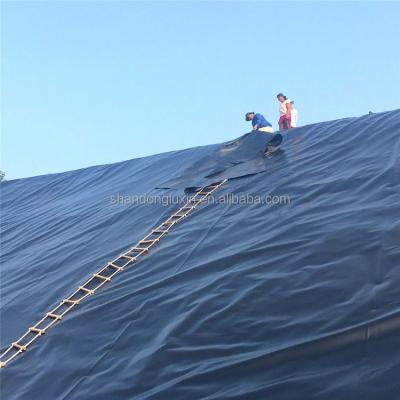 China HDPE Smooth Geomembrane 2mm Thickness Waterproof Liner for Pond Landfill for sale