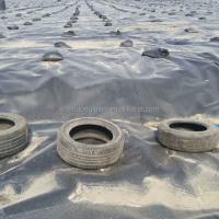 China ASTM GRI-GM13 HDPE Smooth Geomembrane 1.5mm Fish Pond Liner for Water Storage Tanks for sale