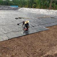 China 1m-8m Width Double Smooth Black HDPE Pond Liner for Fish Shrimp Swimming Pool Farming for sale