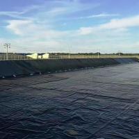 China HDPE Smooth Geomembrane 0.3mm 0.5mm 0.8mm Fish Pond Liner Aquaculture Waterproof for sale
