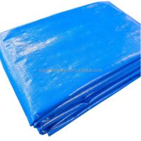 China Blue PE Tarpaulin 2-11m Width Rainproof Moisture-Proof Outdoor Cover Heavy Duty for sale