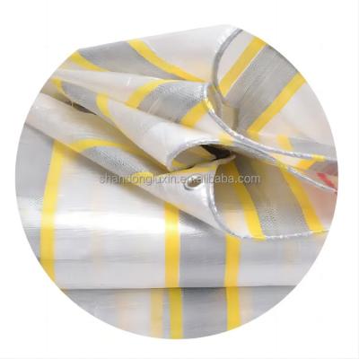 China Polyethylene Tarpaulin Waterproof Dustproof 3x4m 4x5m 4x6m Sizes Heavy Duty PE Cover for sale