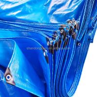 China Waterproof PE Tarpaulin 8x8-14x14 Density Heavy Duty Sun Resistant Cover 3x4m for sale