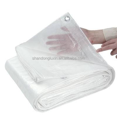 China PE Coated Fabric Canvas Tarps Woven Tarpaulin 50-300gsm for Truck Boat Covers for sale