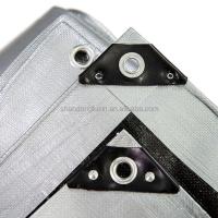 China PE Tarpaulin Woven Fabric Waterproof Anti UV Protective Plastic Sheet 100gsm 2m Width for sale