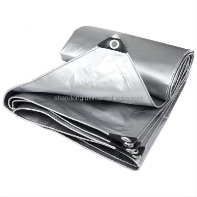 China 500D Yarn Count Silver Gray PE Tarpaulin Waterproof Heavy Duty 4x6m Outdoor Cover for sale