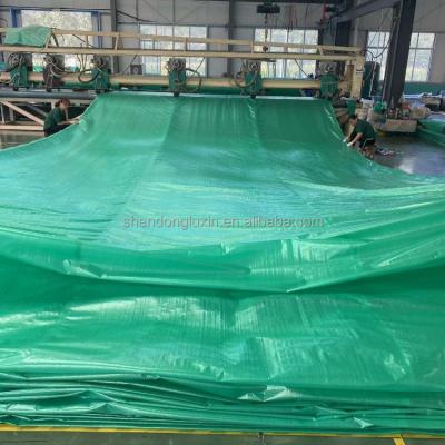China Customized Laminated PE Tarpaulin Plastic Tarps Fabric Sheet for Versatile Applications for sale