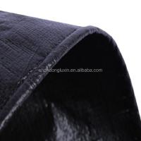 China 0.5-20M Width PE Waterproof Tarpaulin with Logo Printing Durable for sale