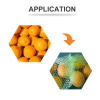China SS316 Automated Packaging System Nylon Mesh Net Bag Packaging Equipment for sale