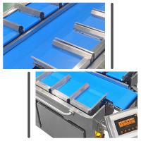 China Frozen Dried Durian Dried Mangoes Fruit Multihead Weigher Combination Equipment Manual Belt Type for sale