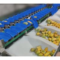 China Stainless Steel 304 Automatic Size Sorting Machine For Mango Fruit Vegetables Grading for sale