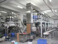 China 304SUS Bucket Elevator Conveyor Maize Mill Coffee Bean Mobile Vertical Z Type With Vibration Feeder for sale