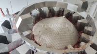 China Chicken Liver Screw Combination Weigher for sale