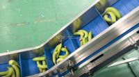 China Semi Auto Mesh Net Bag Fruit Multihead Weigher for sale