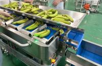 China Semi Auto Mesh Net Bag Fruit Multihead Weigher for sale